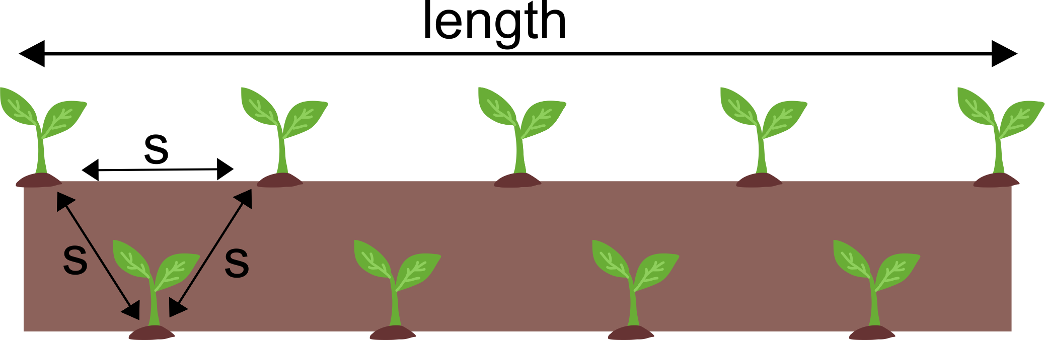 Plant Spacing Calculator
